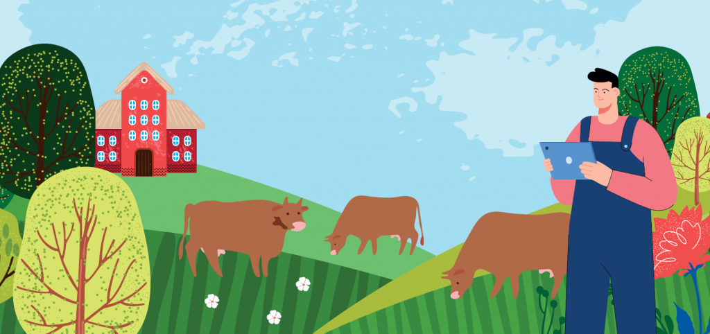 Satellites and Sensors: towards smart pasture management – Sebastien